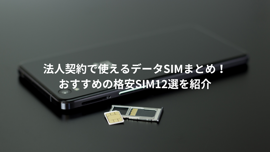 【比較】法人契約で使えるデータSIMまとめ！おすすめの格安SIM12選を紹介｜IoTBiz｜DXHUB株式会社